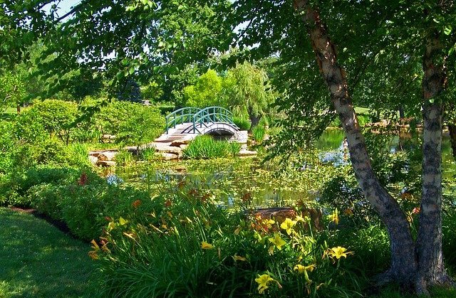 Poem: Mum Guilt For the Eledest When Welcoming Siblings Into The Family ...